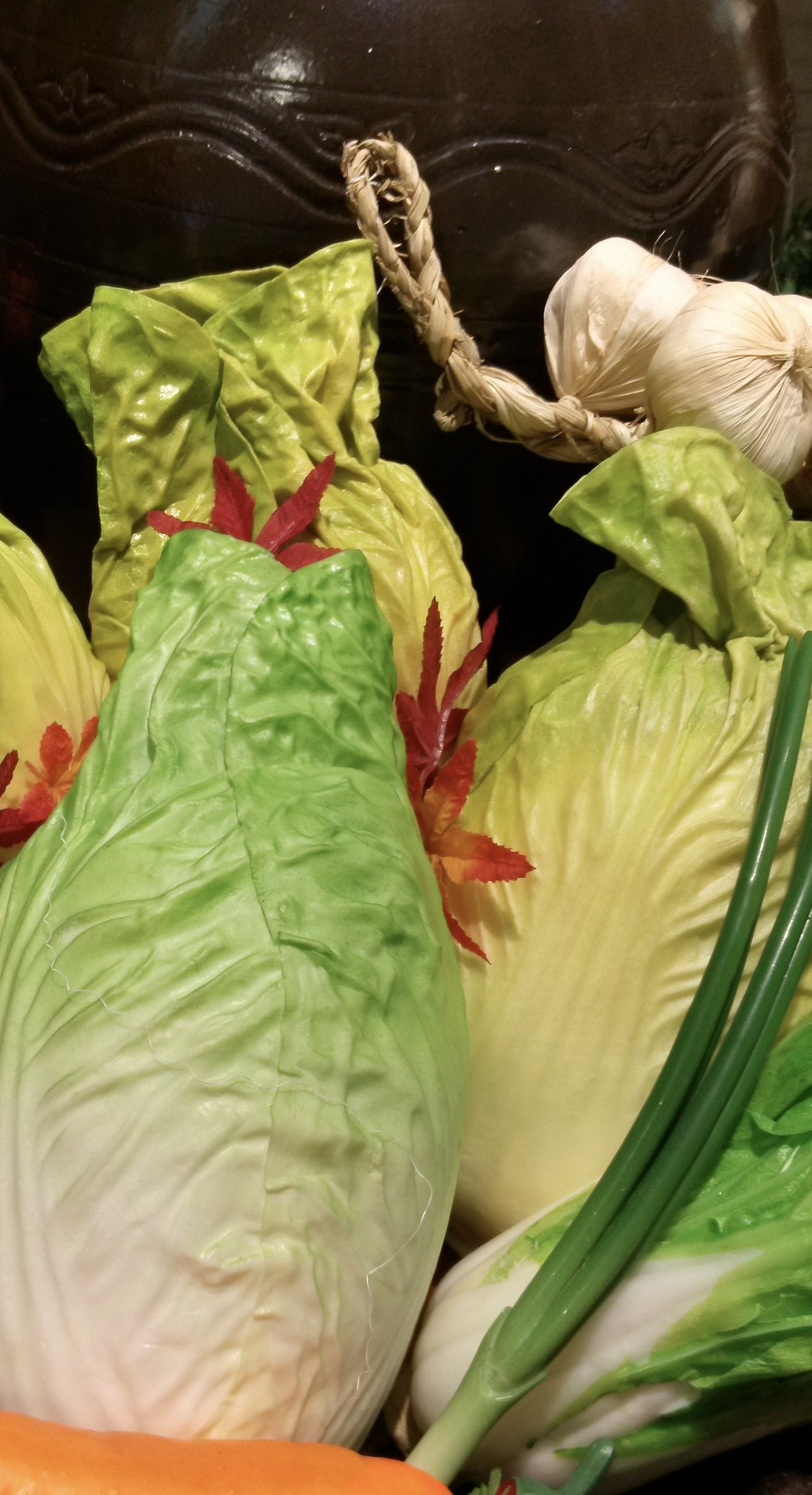 Sugar Loaf Chicory - Heavenly Seed