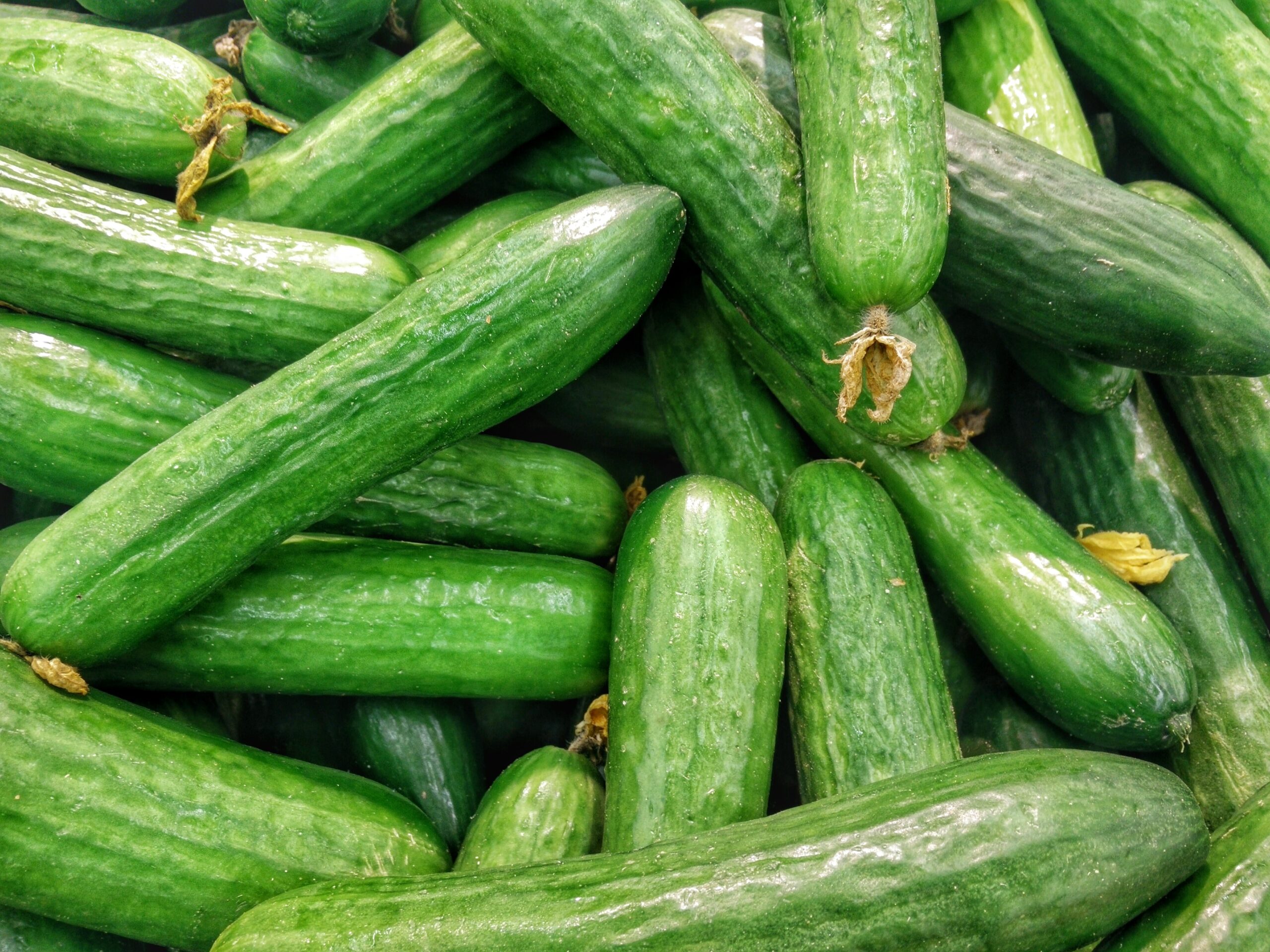 Straight Eight Cucumber - Heavenly Seed